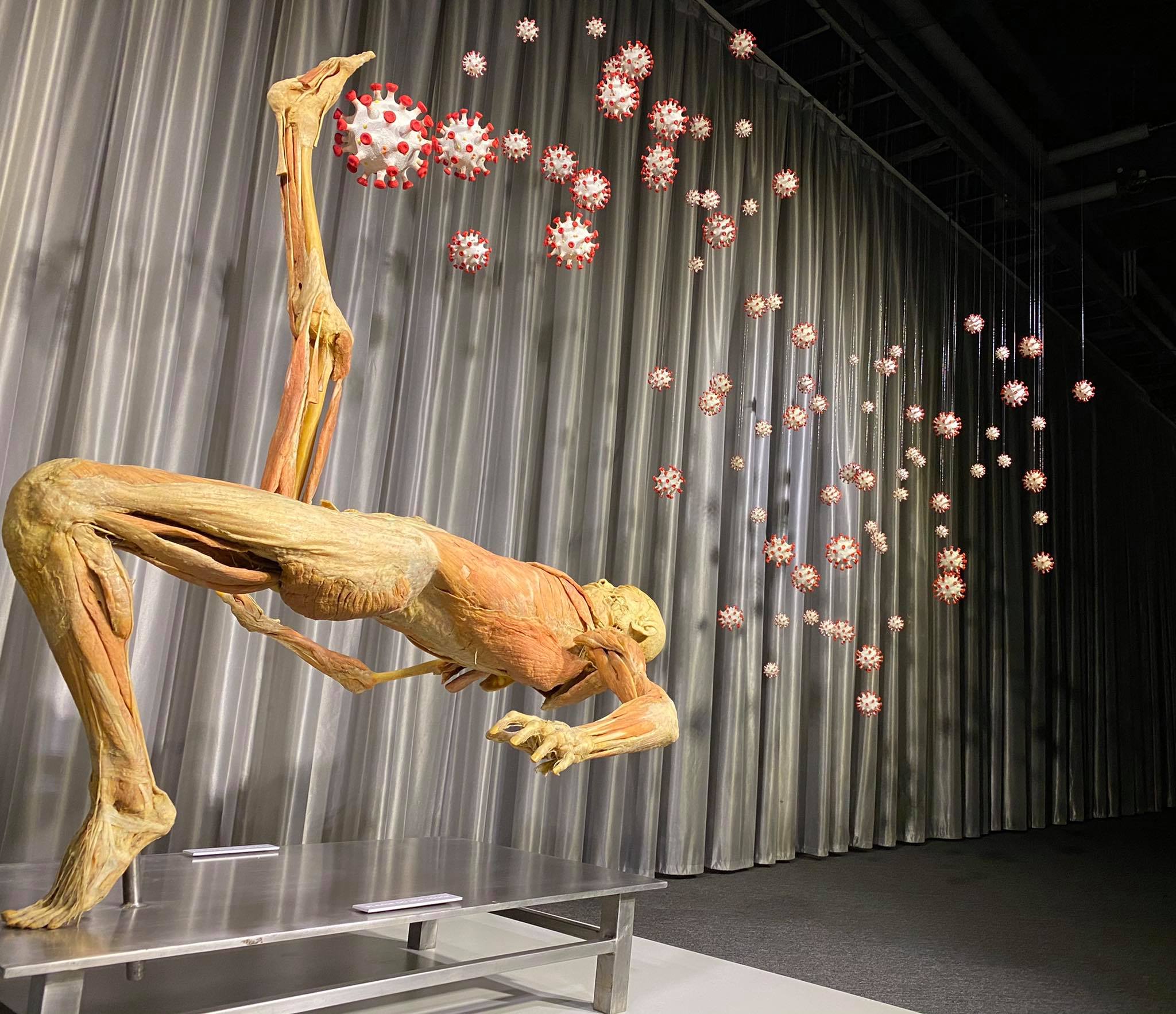 Van rokerslongen tot misvormde penissen - wrAP